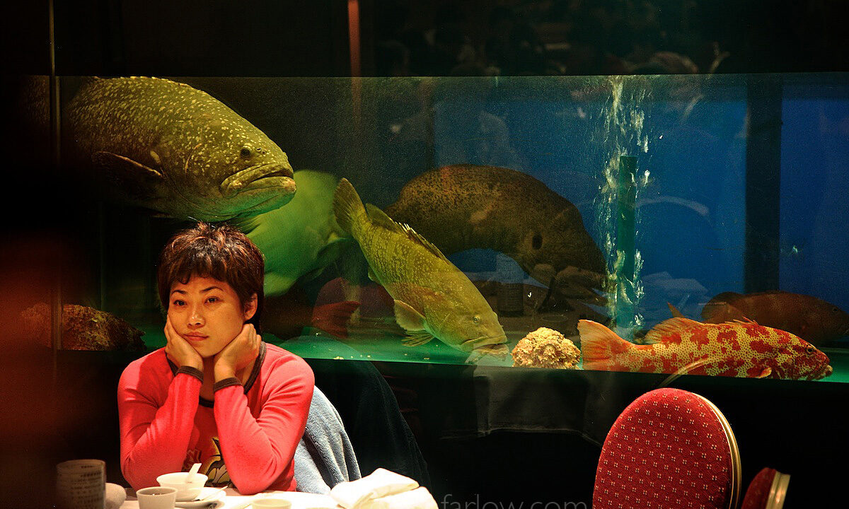 Aquarium With Live Reef Fish in Chinese Restaurant