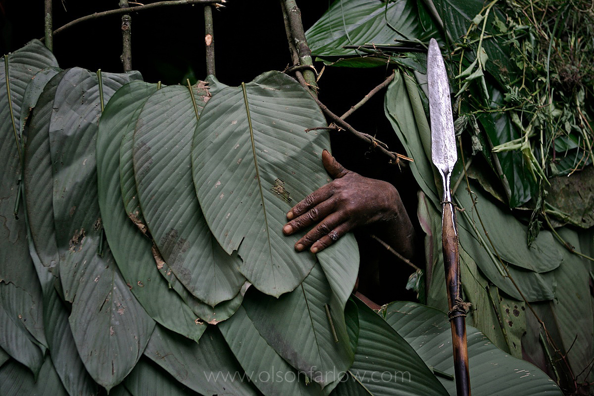Leaf Hut Construction of Pygmy structure in DR Congo